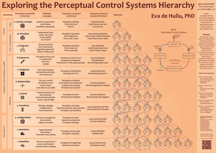 Psychedelisch onderzoek – Perceptual Control Theory